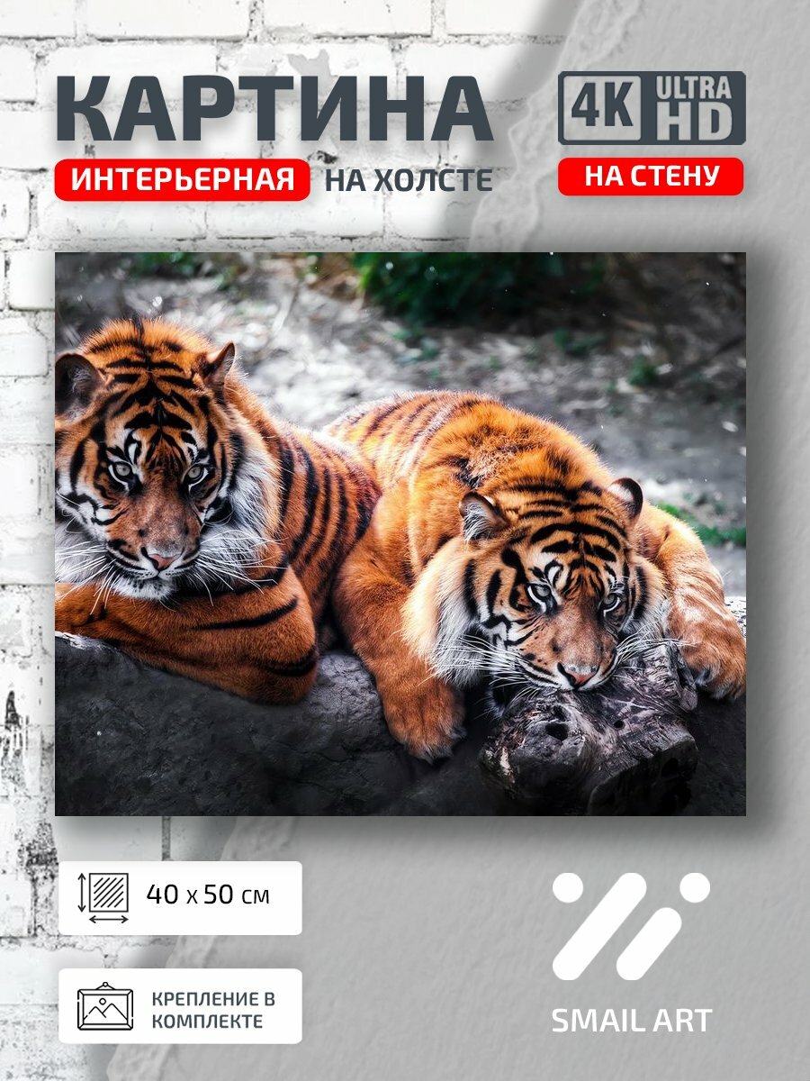 Картина на холсте интерьерная 40 на 50 на стену Камне Animal для кафе animal style интерьер