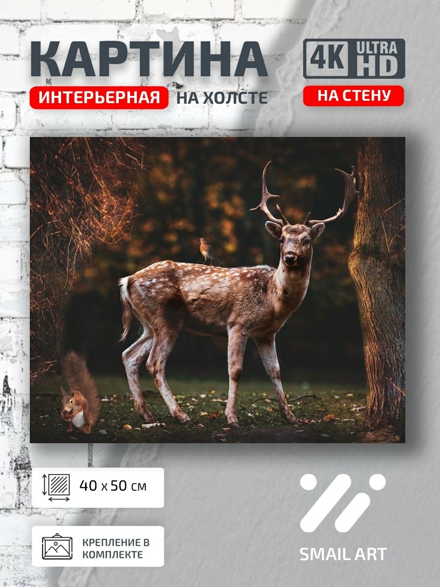 Картина на холсте интерьерная 40 на 50 на стену Лань Белка для спальни атмосфера