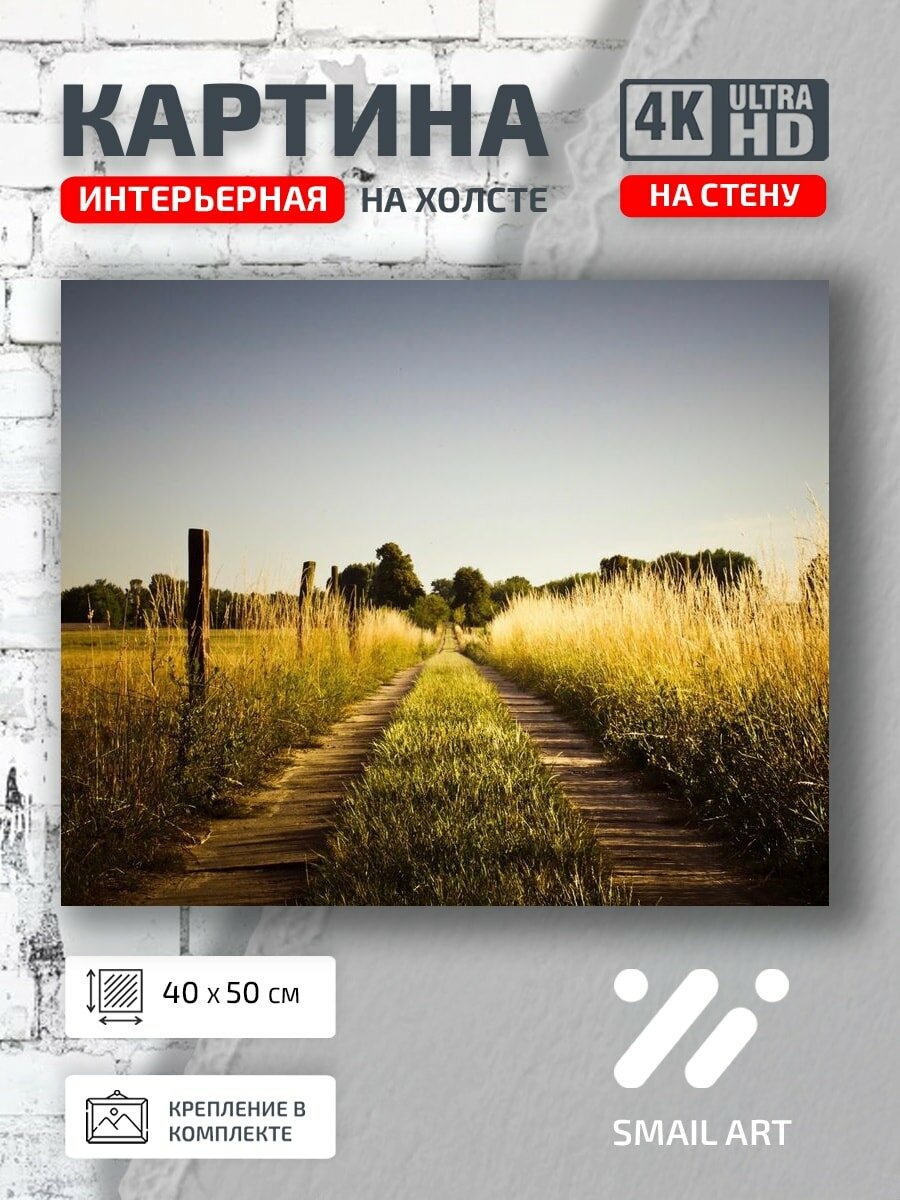 Картина на холсте интерьерная 40 на 50 на стену Country Road для офиса пейзаж
