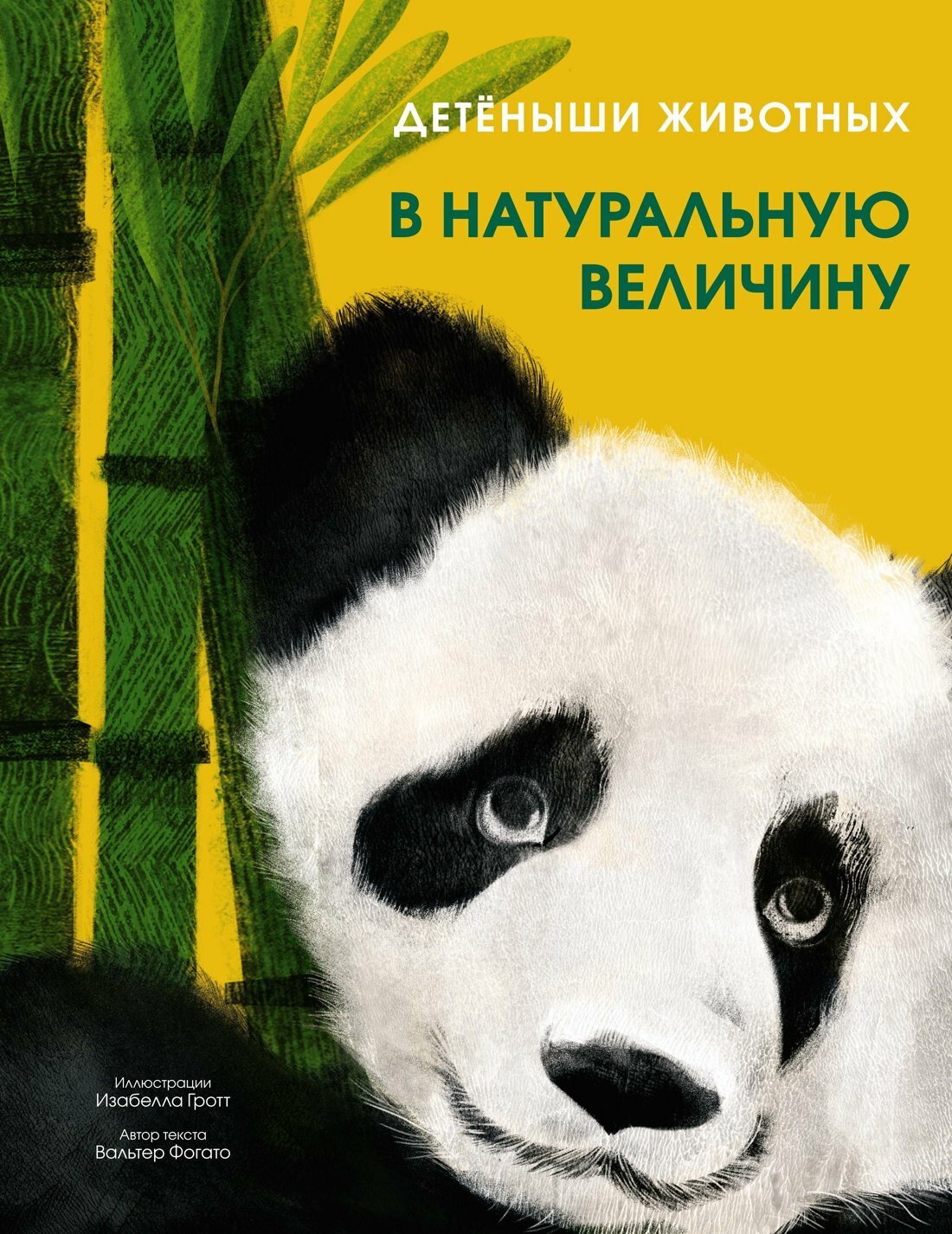 Книга: "Детёныши животных в натуральную величину" от Фогато В, русский язык, Естественные науки