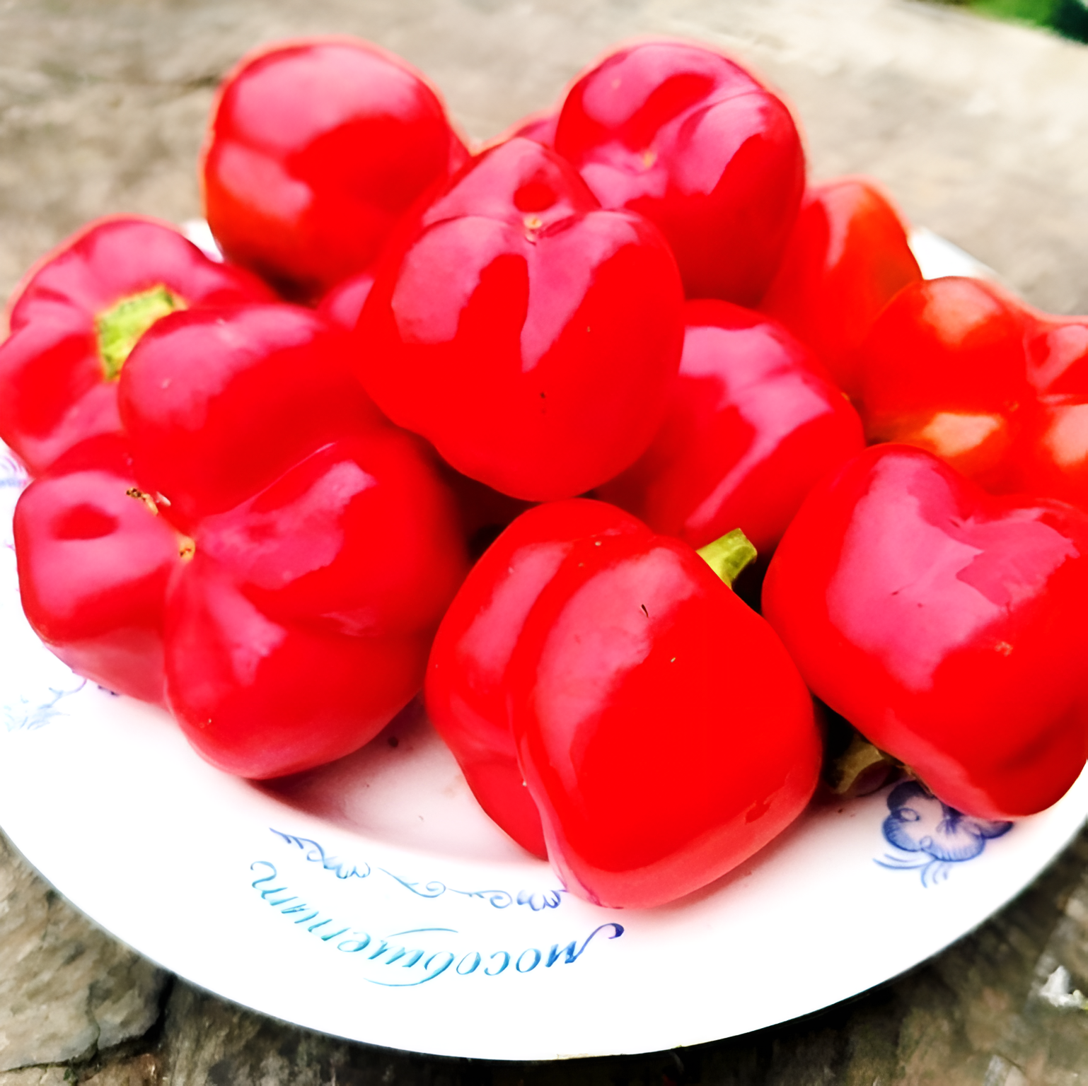 Семена перца сладкого "Мамми Хубер", 10-15шт, однолетние, неприхотливые, высота 60см