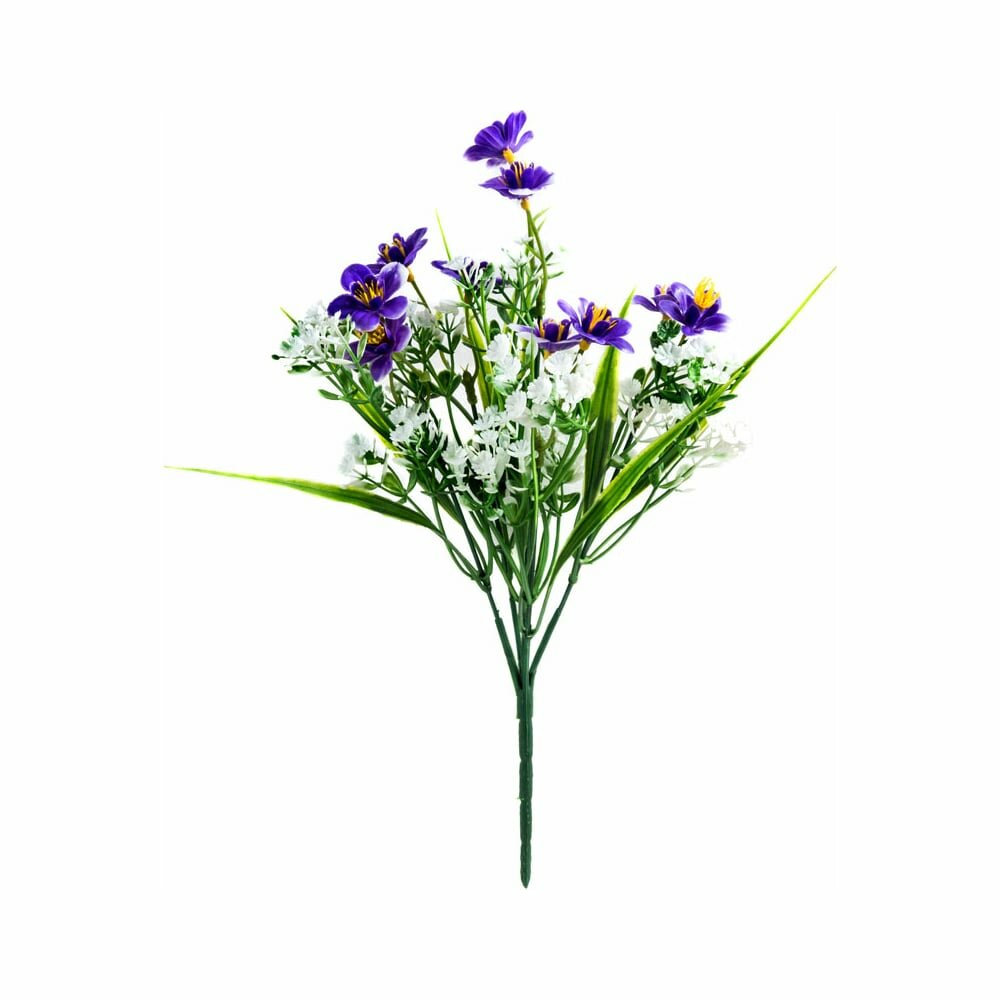 Цветок Волшебная страна Фиалка полевая