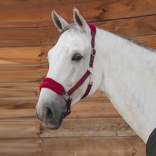 Недоуздок для лошади GENTLE HALTER бордо Cob