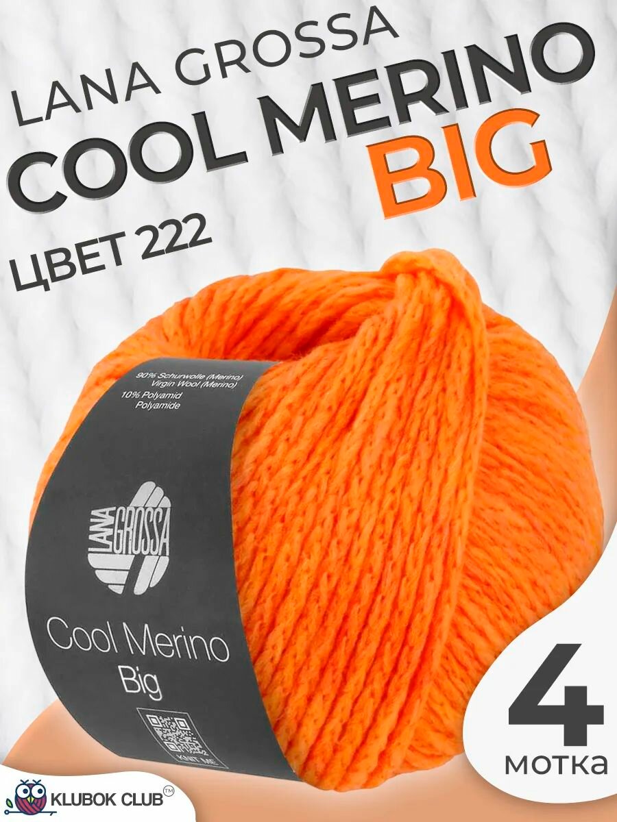 Пряжа для вязания Lana Grossa Cool Merino Big шнурок, цвет 222, 4 мотка