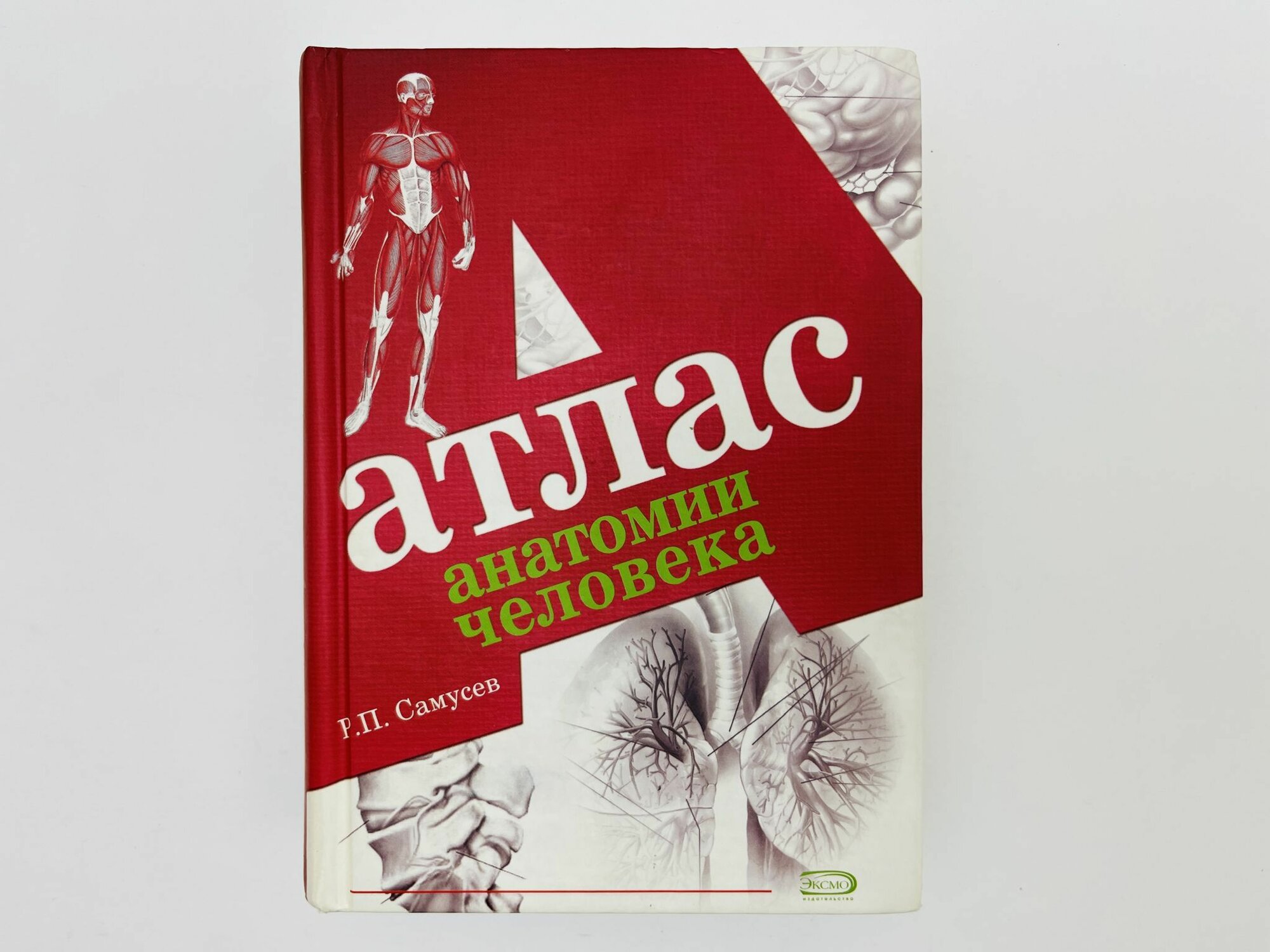 Атлас анатомии человека. Справочное издание