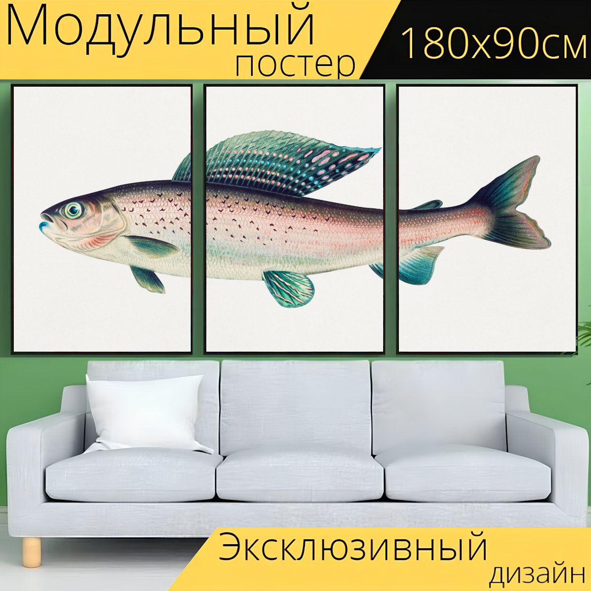 Модульный постер "Рыба хариус старинный плакат Рыба хариус винтажный плакат старая иллюстрация изображение восстановлено пятна удалены." 180 x 90 см. для интерьера на стену в тубусе