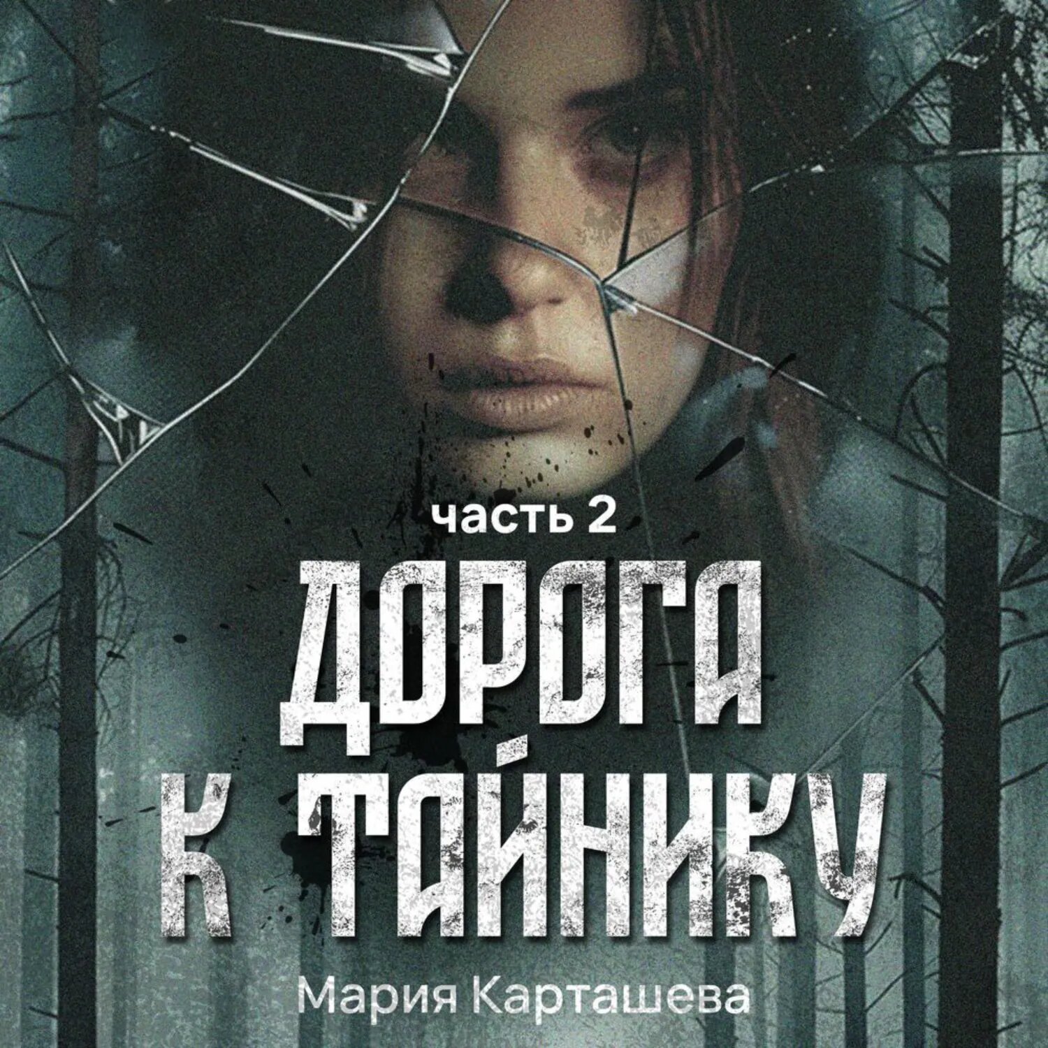 Дорога к тайнику. Часть 2 [Аудиокнига]