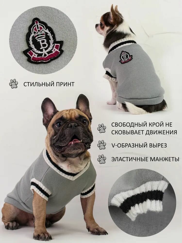 Одежда для животных QWQ — фото 1