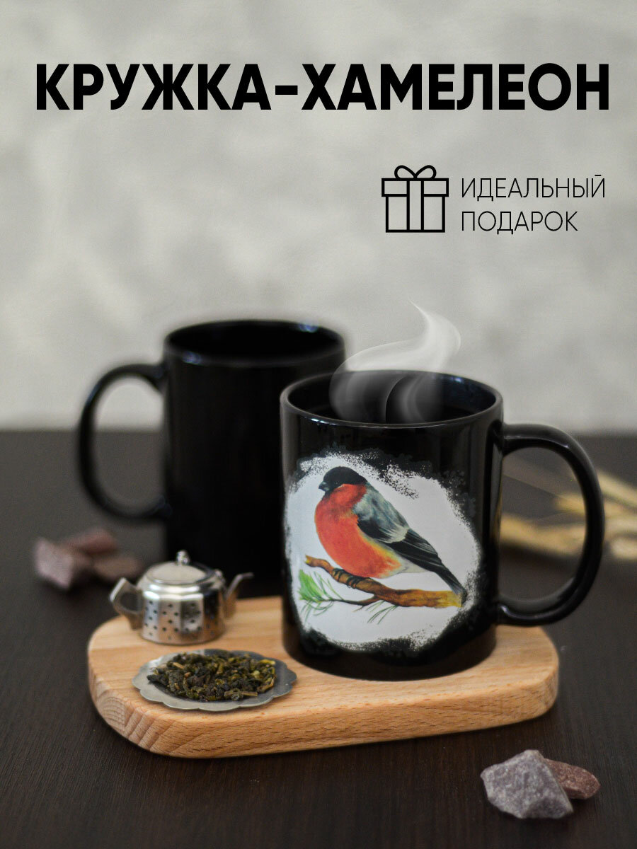 Термо-кружка "Птицы: Снегирь", в подарочной упаковке, 330 мл, фарфор