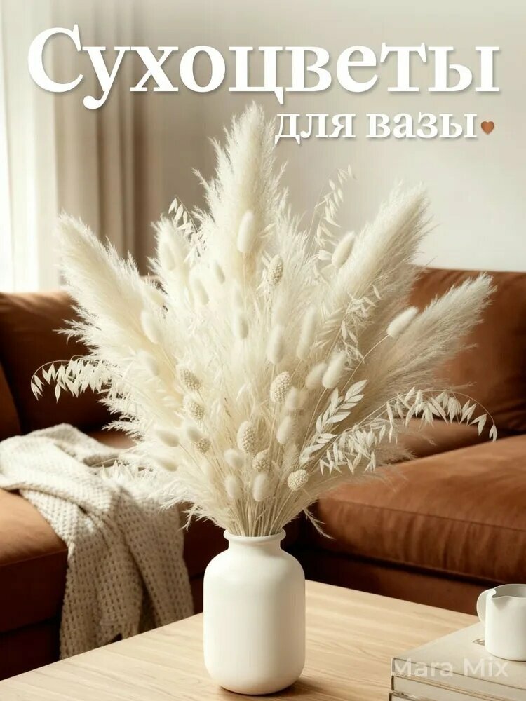 Сухоцветы Пампасная трава, Фалярис