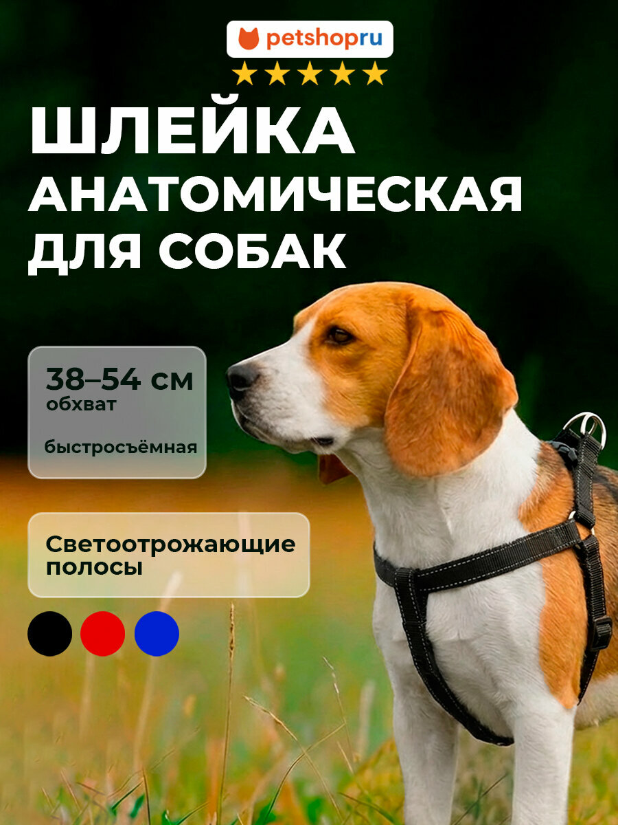 PETSHOP Шлейка для собак "Турбо", обхват 38-54 см, черная