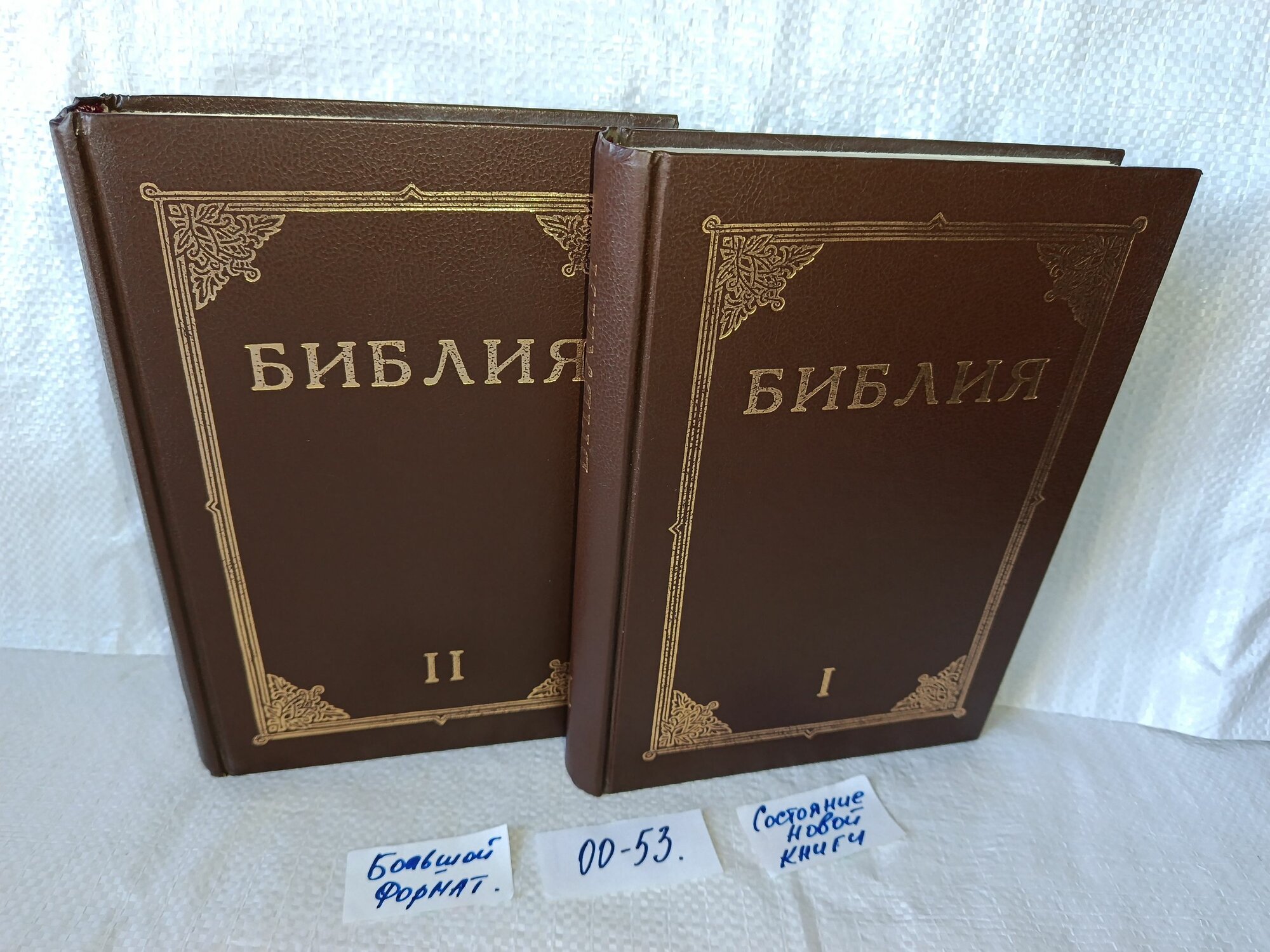 Библия. Книги священного писания Ветхого и Нового завета. Канонические. С иллюстрациями Гюстава Дорэ. В 2-х томах