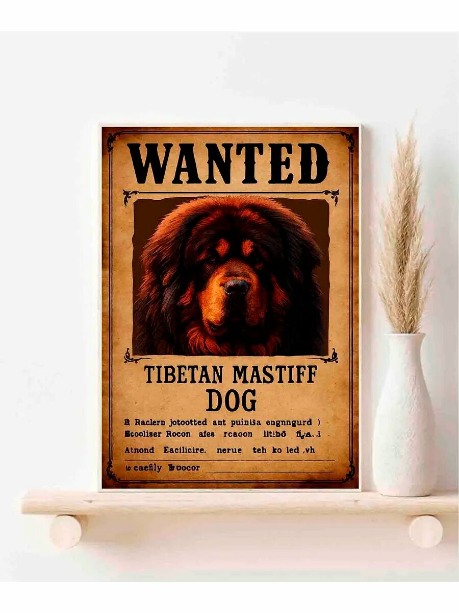 Собака породы тибетский мастиф, Wanted, Плакат 30x42см