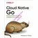 Cloud Native Go Reprinted books