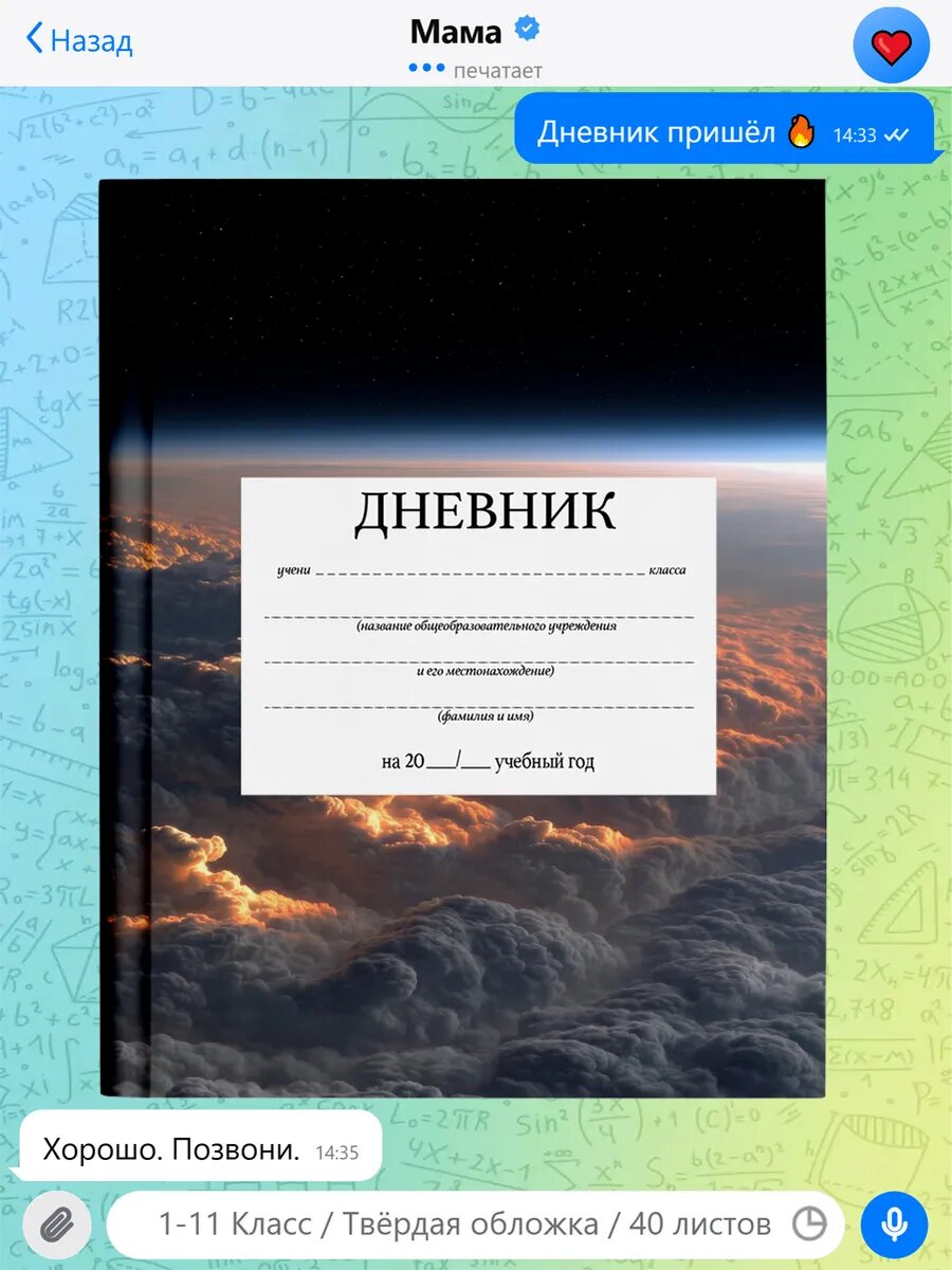 Школьный дневник с принтом Роблокс