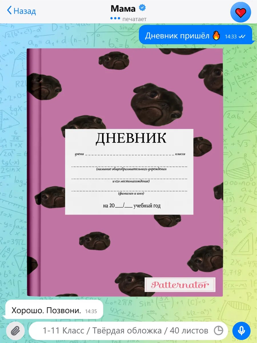 Школьный дневник с принтом y2k pinterest