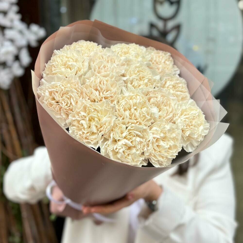 Букет цветов гвоздика (диантус), 15 штук, монобукет (в упаковке)