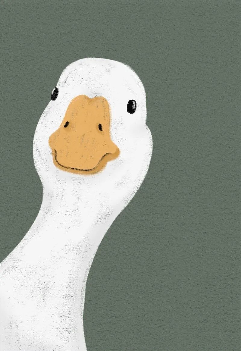 Художественный постер с уткой для ванной комнаты TT1445, 20x30cm no frame