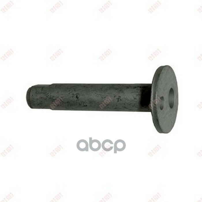 Болт экцентриковый CHERY TIGGO 1.6 2006-2008/T112919033BA T112919033BA RIMI арт. BL1164