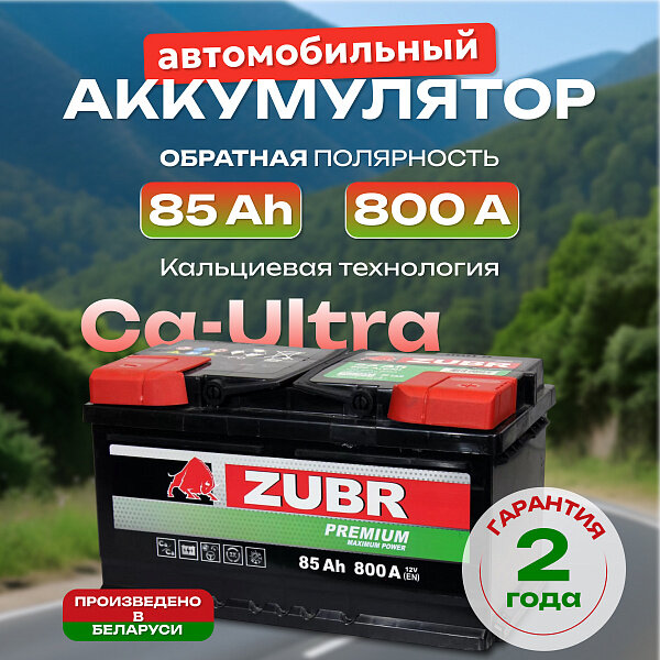 Аккумулятор автомобильный Zubr Premium 6СТ-85 обр. (низкий) 315x175x175