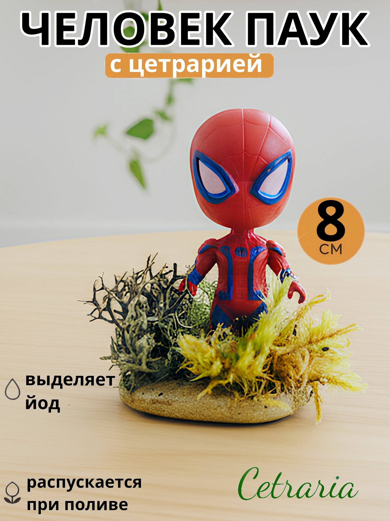 Статуэтка Человек Паук на камне с Цетрарией