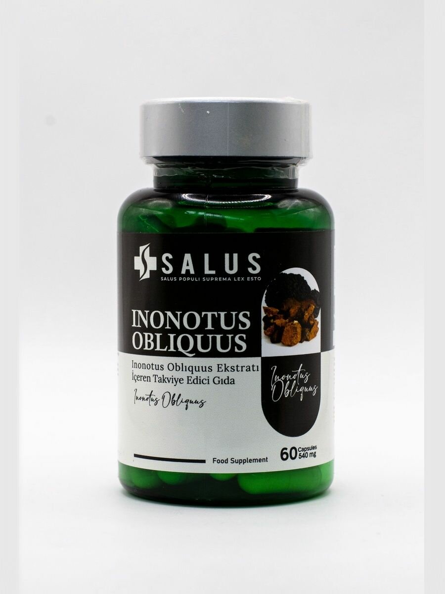 Гриб Чага, натуральный экстракт, 60 капсул, Турция