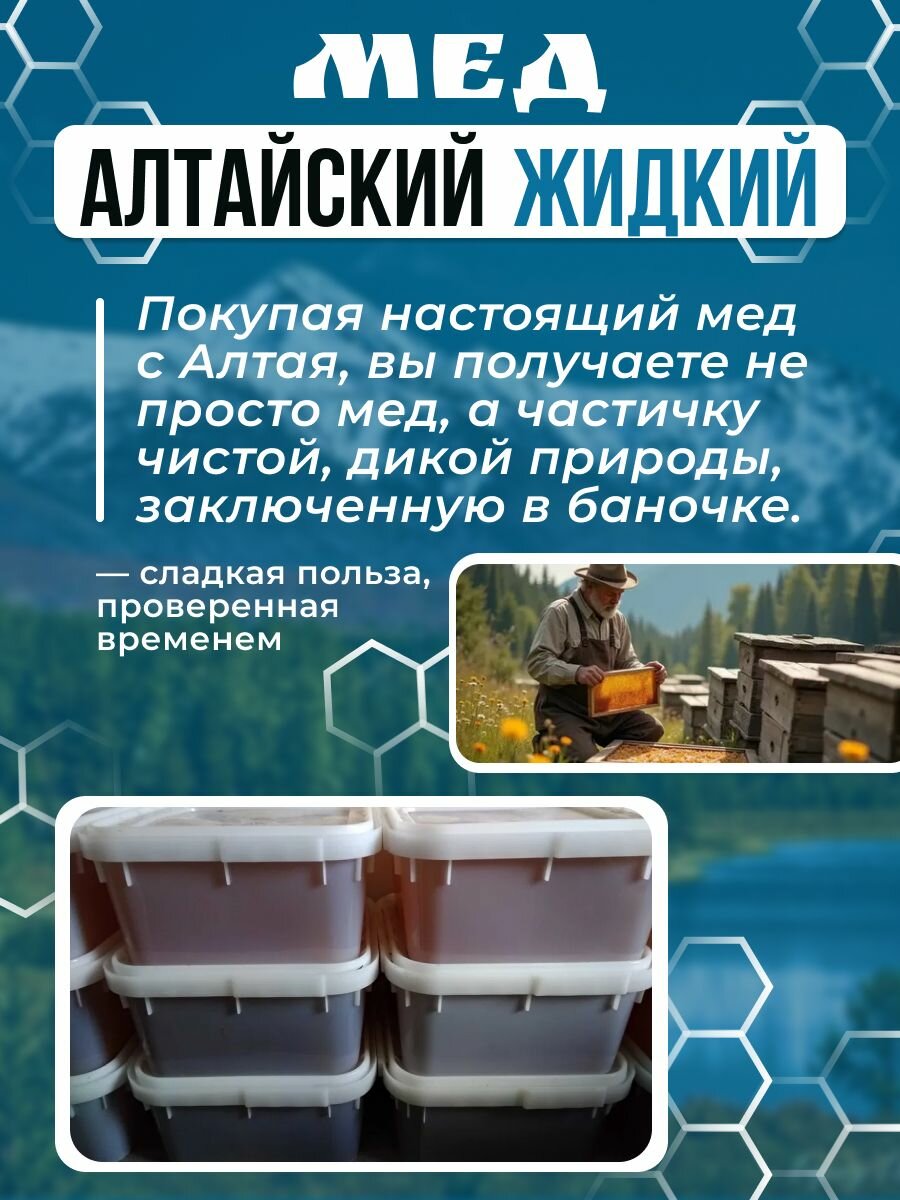 Алтайский мед, натуральный, лечебный, жидкий, сбор 2025 года — фото 1