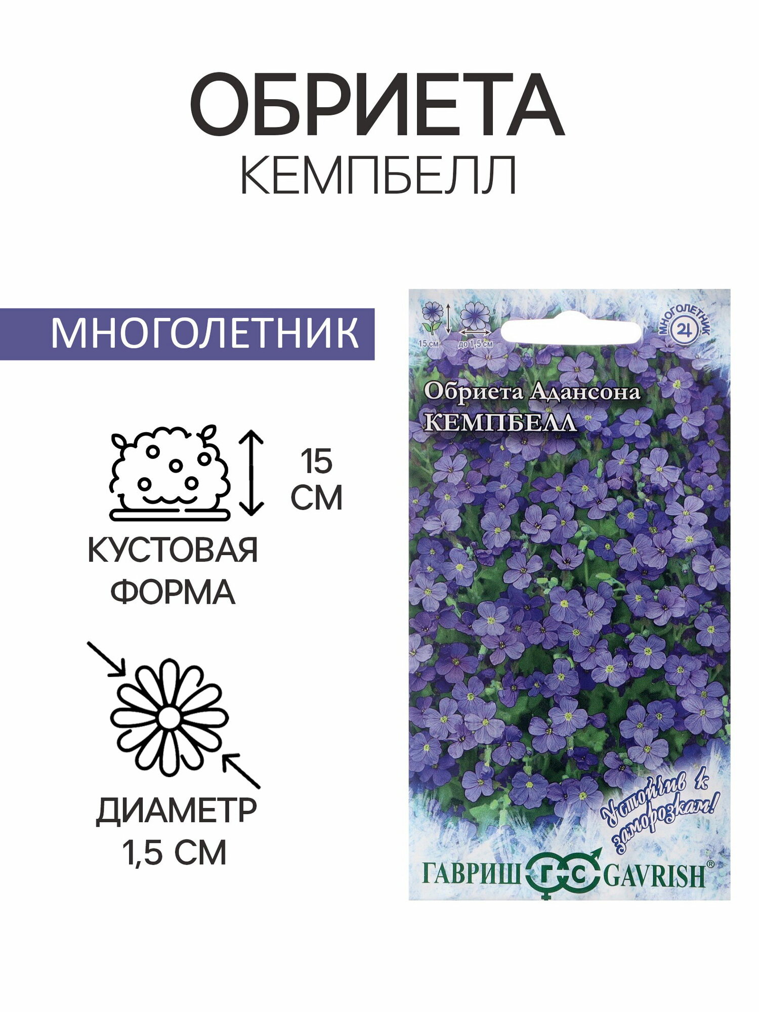 Семена цветов Обриета "Кемпбелл", ц/п, крупноцветковая, 0.05 г