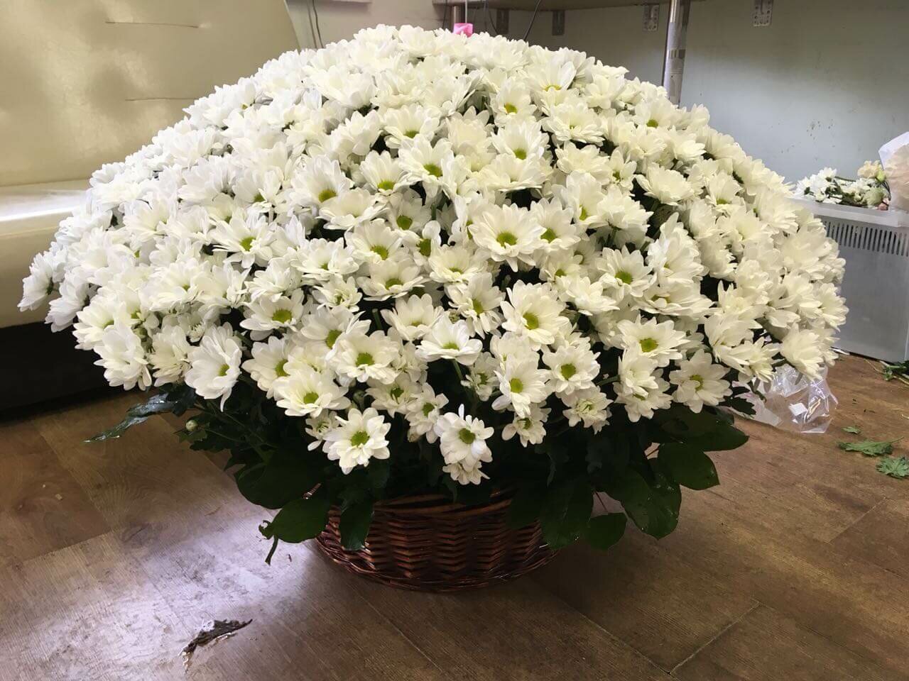 101 белая кустовая хризантема в корзине / Кустовые хризантемы