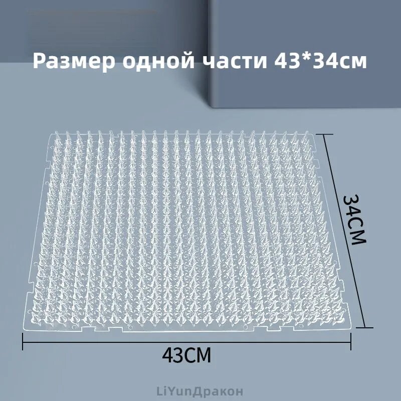Шипы , прозрачный — фото 1