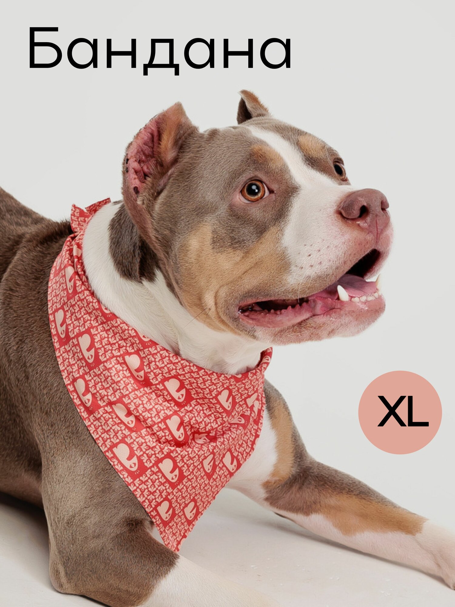 Бандана для собак и кошек, Апти, XL