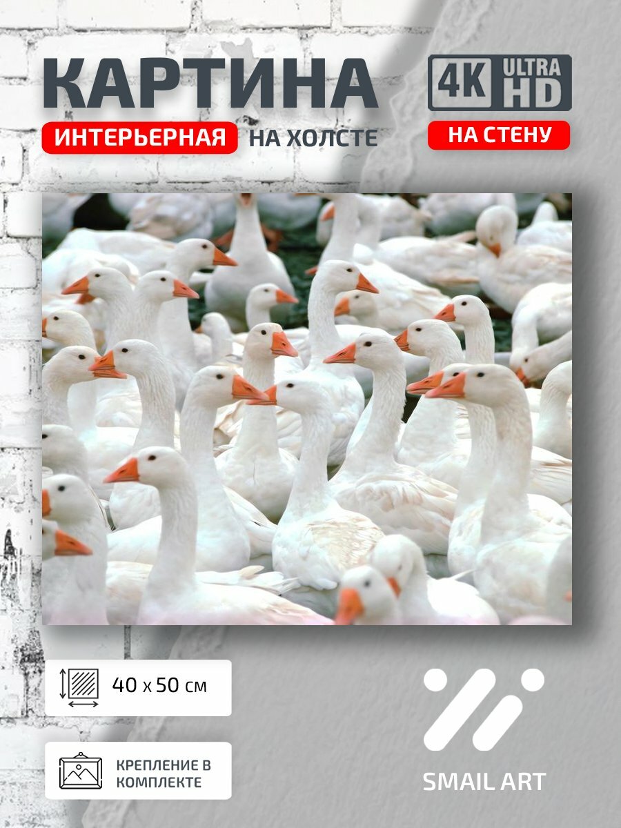 Картина на холсте интерьерная 40 на 50 на стену Гуси Mood для спальни атмосфера интерьер
