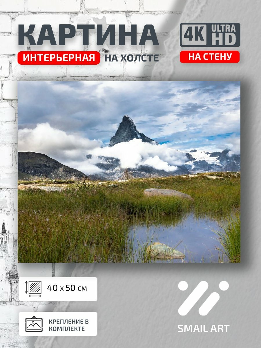 Картина на холсте интерьерная 40 на 50 на стену Трава Landscape для гостиной пейзаж декор