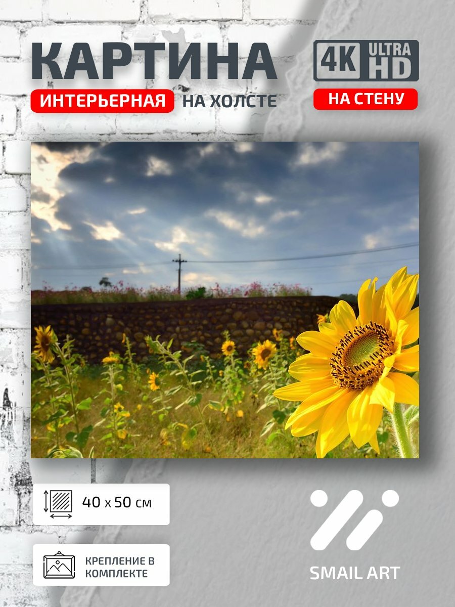Картина на холсте интерьерная 40 на 50 на стену Подсолнухи Mood для офиса атмосфера декор