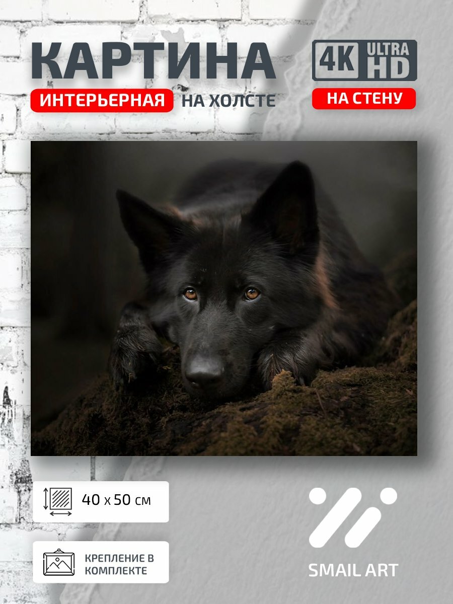 Картина на холсте интерьерная 40 на 50 на стену Лежит Animal для кафе animal style интерьер