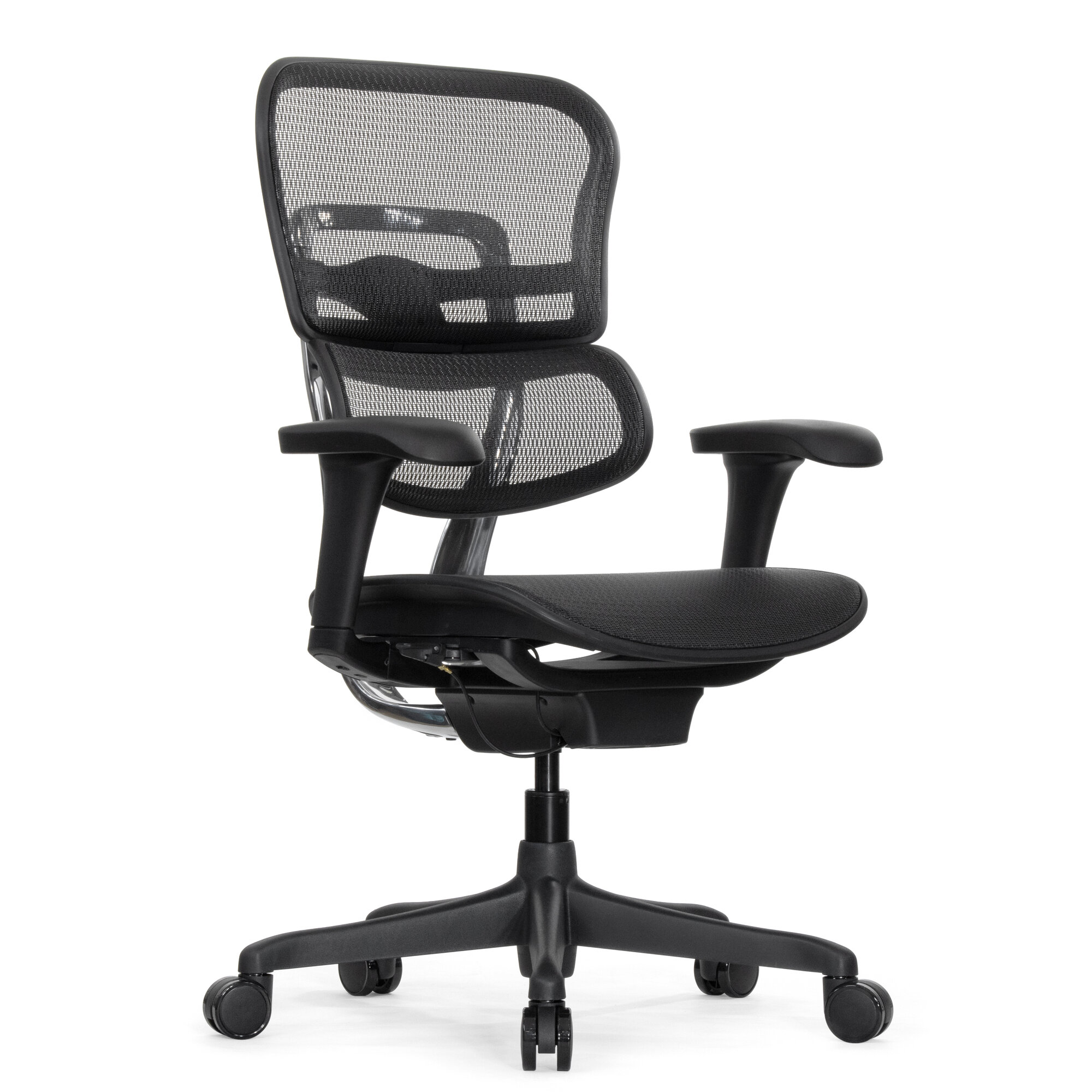 Кресло FALTO Ergohuman 2 PROJECT (без подголовника, автоматическая жесткость качания, сетка, черный)