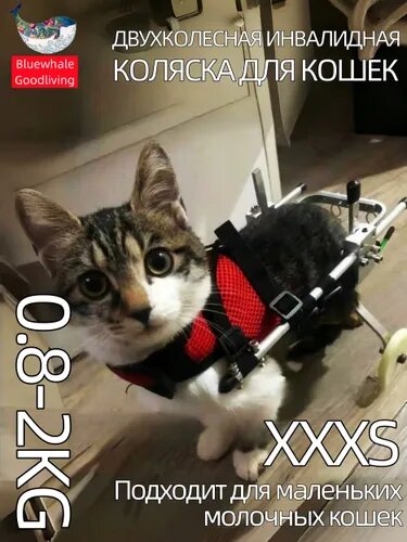 Кошачья инвалидная коляска. Двухколесная реабилитационная коляска для кошек. Подходит для домашних животных с проблемами задних лап и полным параличом. Код XXXS.