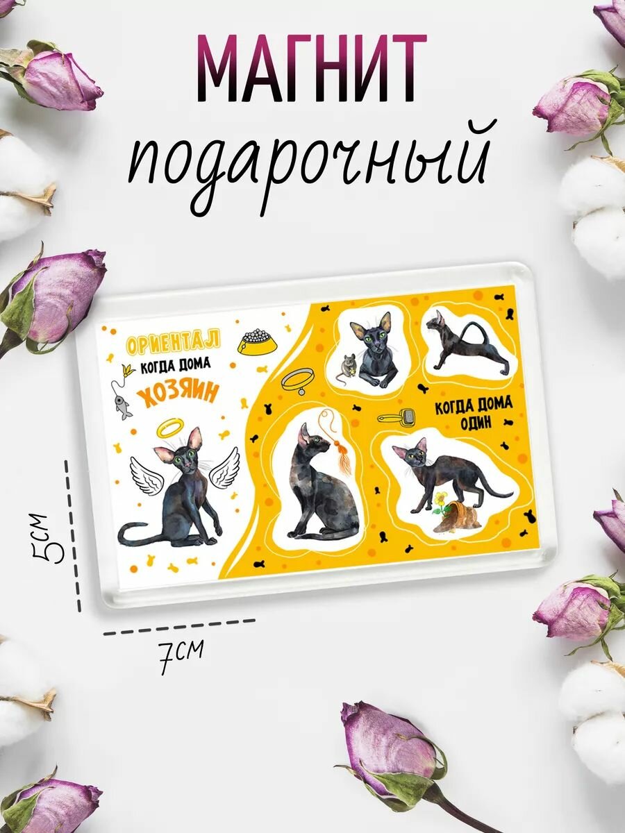Магнит с рисунком котов разных пород Когда дома один Ориентал, акриловый, размер 7*5 см