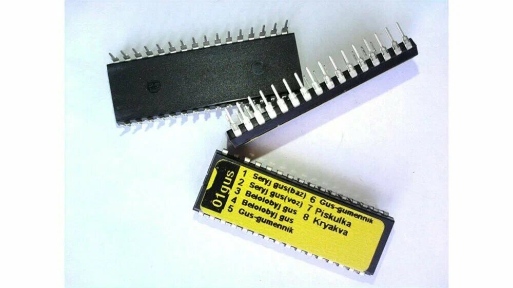 Чип для электронного манка Mundi Sound AP 713/МР100 5 Испания.