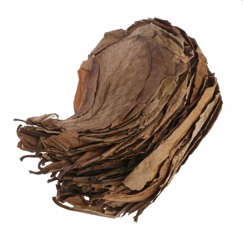 Листья индийского миндаля 50 шт.