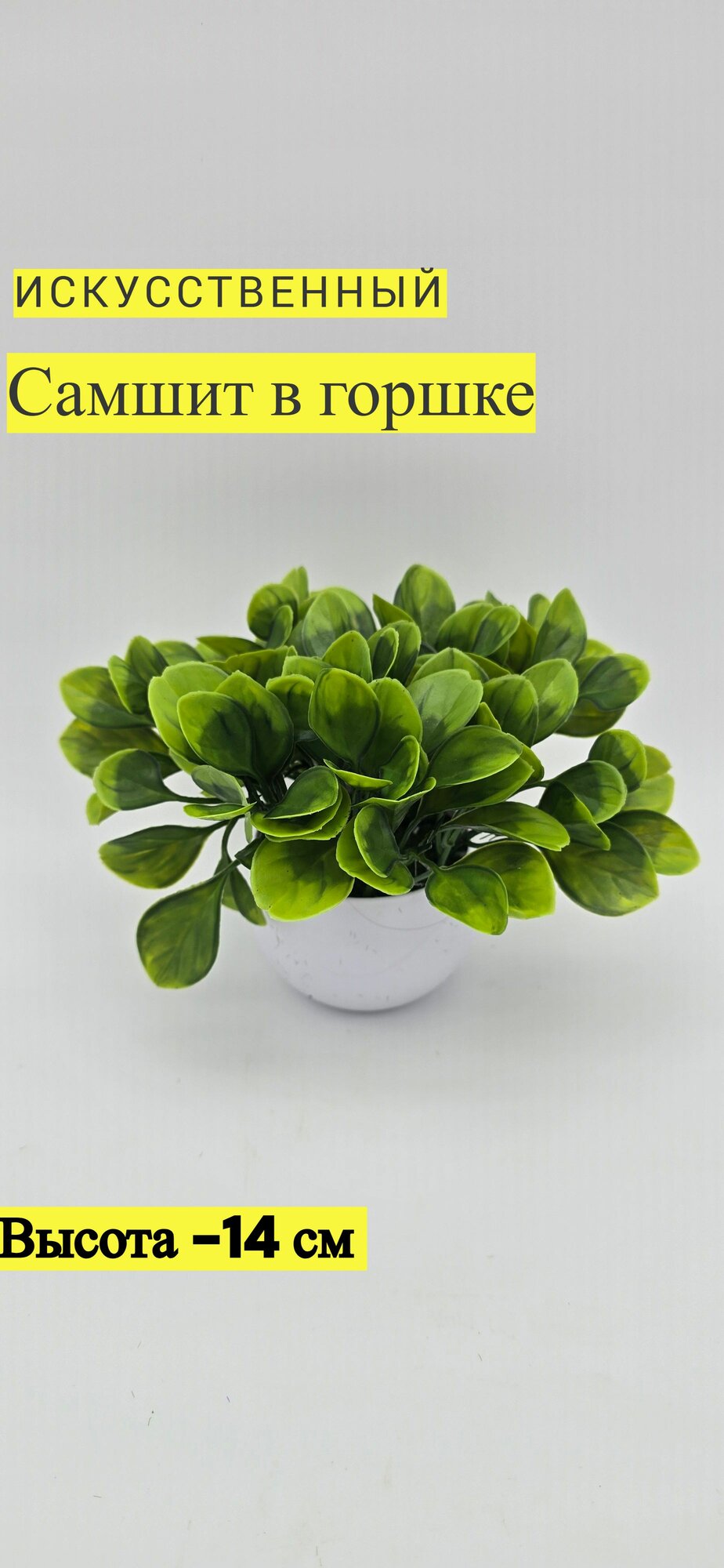 Искусственное растение Holodilova "Самшит", в горшке, пластик, 14 см