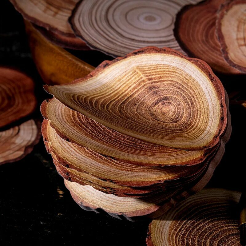 Блокнот Alideco "Story of Tree Rings", Цвет: xia — фото 1