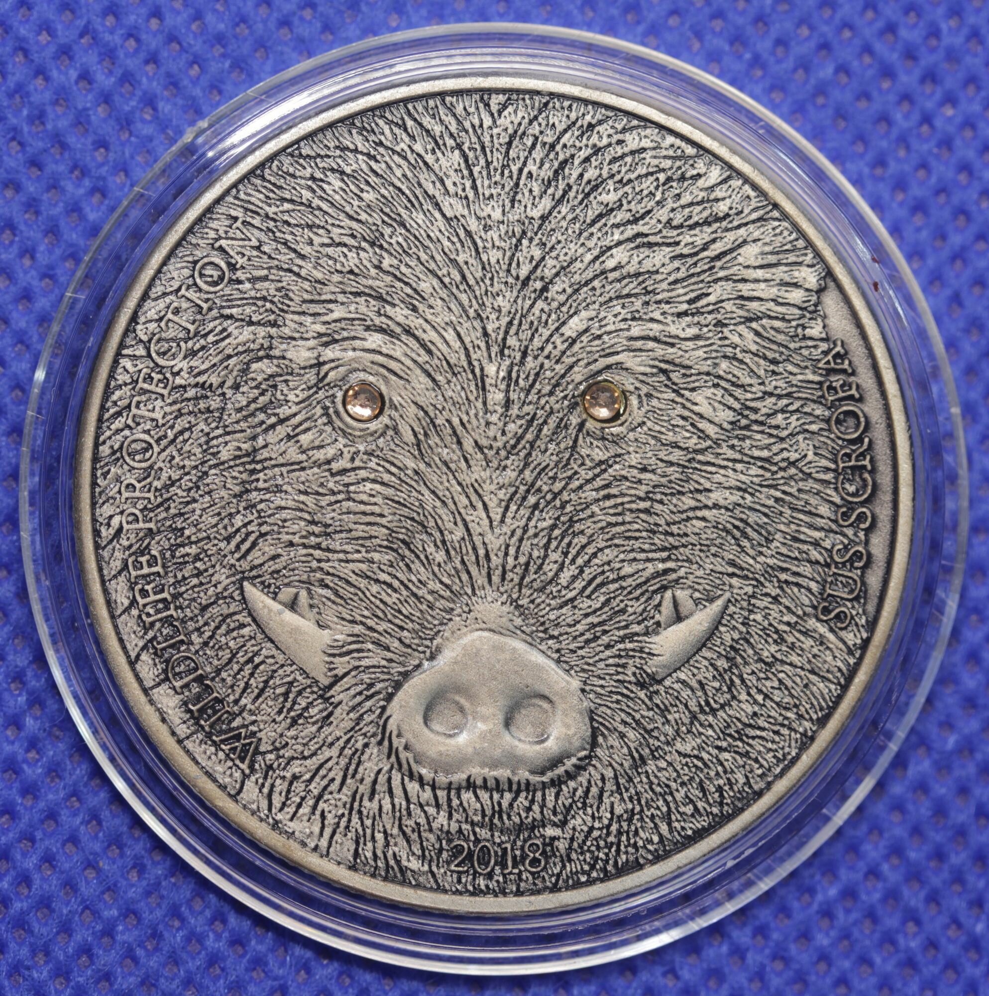 Монета 500 тугриков 2018 Кабан Монголия Фауна Цветные глаза. Копия монеты