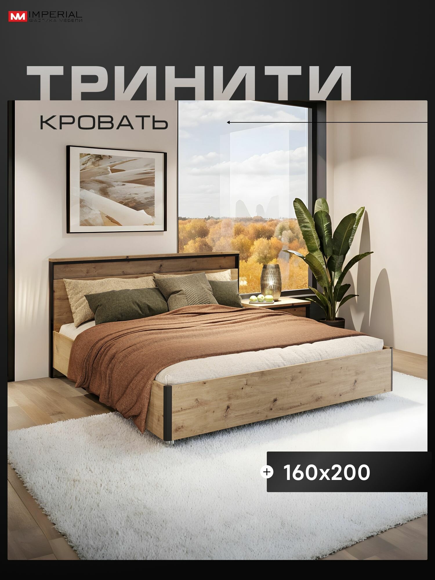 Кровать двухспальная 160х200 без основания Тринити