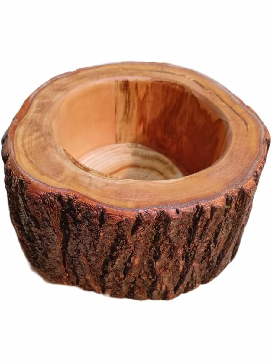 Кашпо-ваза "Пень Премиум" D18-20 высота 10см полено из абрикоса с корой для декора интерьера. ЭКО кругляшок из бревна