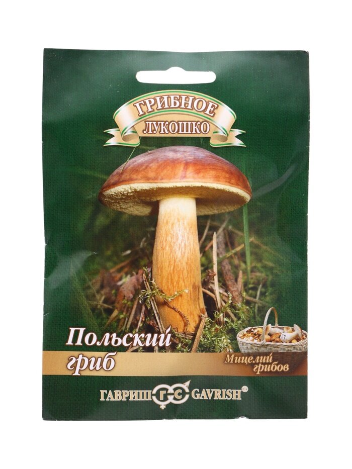 Польский гриб на зерновом субстрате, больш. пак. 15 мл 10965067