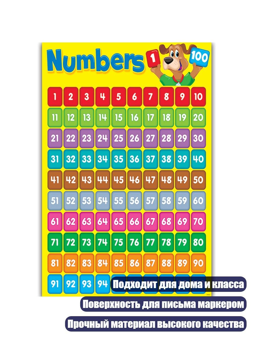 Обучающий плакат с числами 1-100 для детей, 30x42 см-16