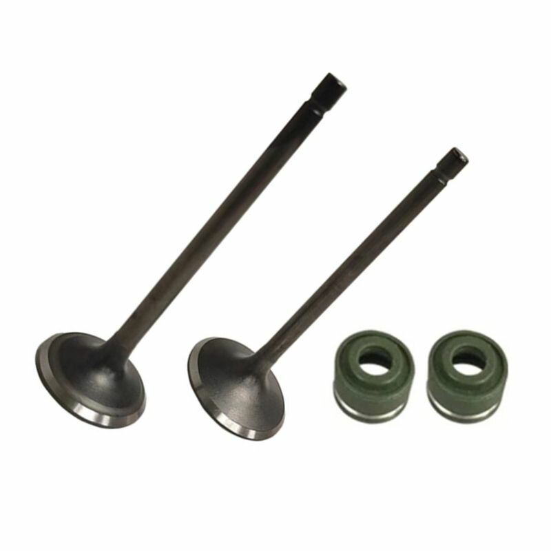 Клапаны двигателя мотоцикла подходят для CG250