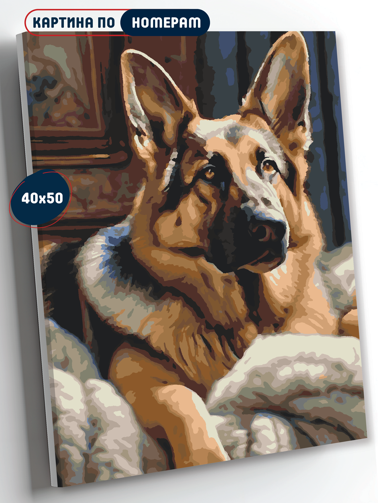 Картина по номерам "Овчарка", Холст на подрамнике 40х50, набор для рисования, с животными