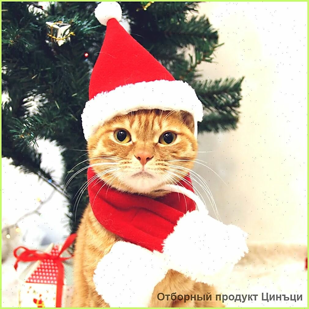 Новогодний рождественский набор-подарок из шапки-колпака и шарфа для кошек, собак и других животных , размер S